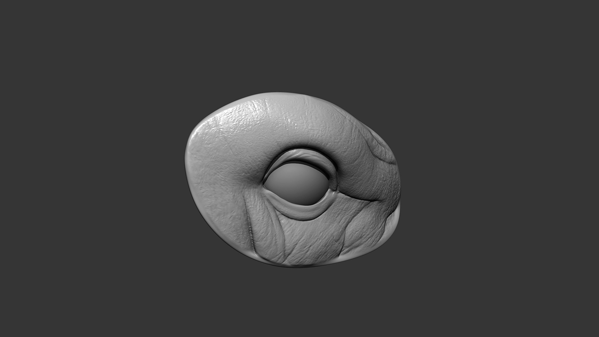 3D Rhino Eye Socket Highpoly Sculpt Model - TurboSquid 1806600
