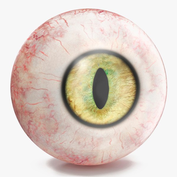 modelo 3d Ojo de gato realista - TurboSquid 2195684