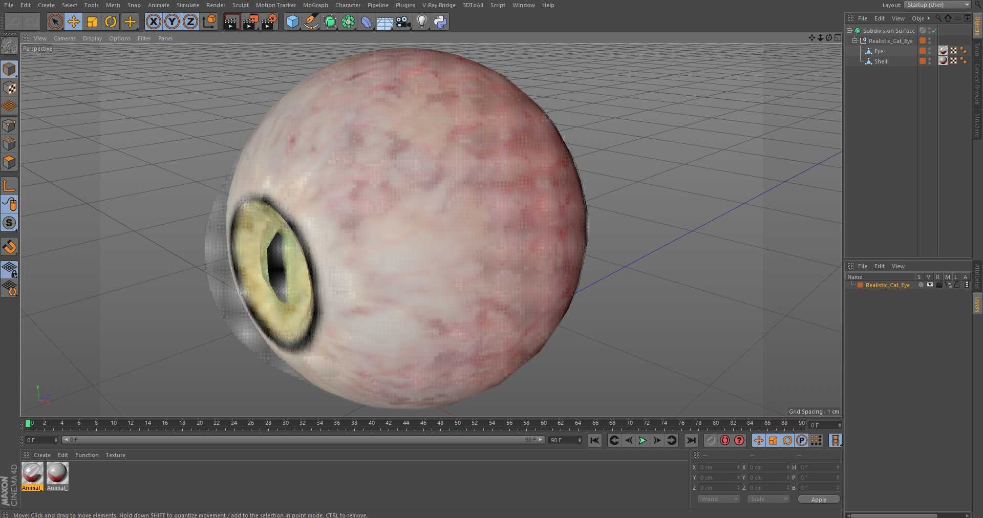 3D Model Realistic Cat Eye - TurboSquid 2195684