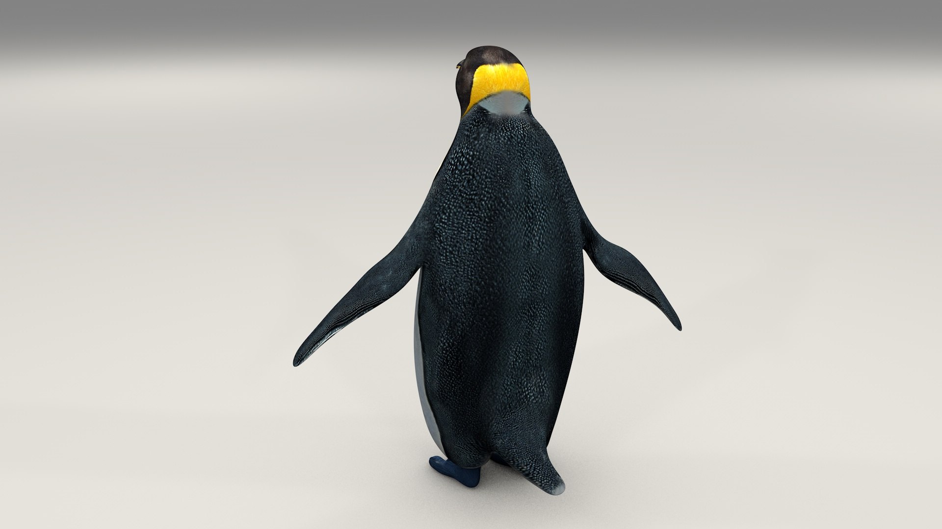 Penguin 3D Model - TurboSquid 1522173