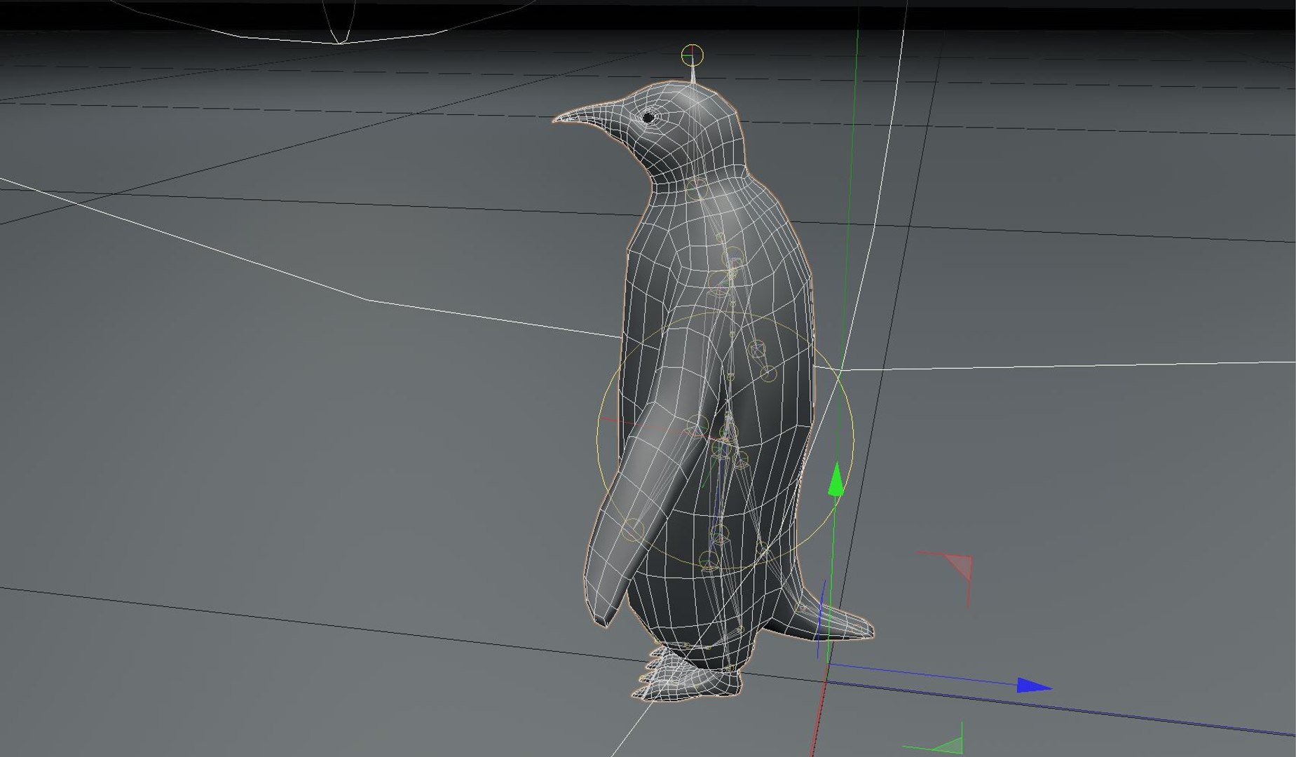 Penguin 3D Model - TurboSquid 1522173