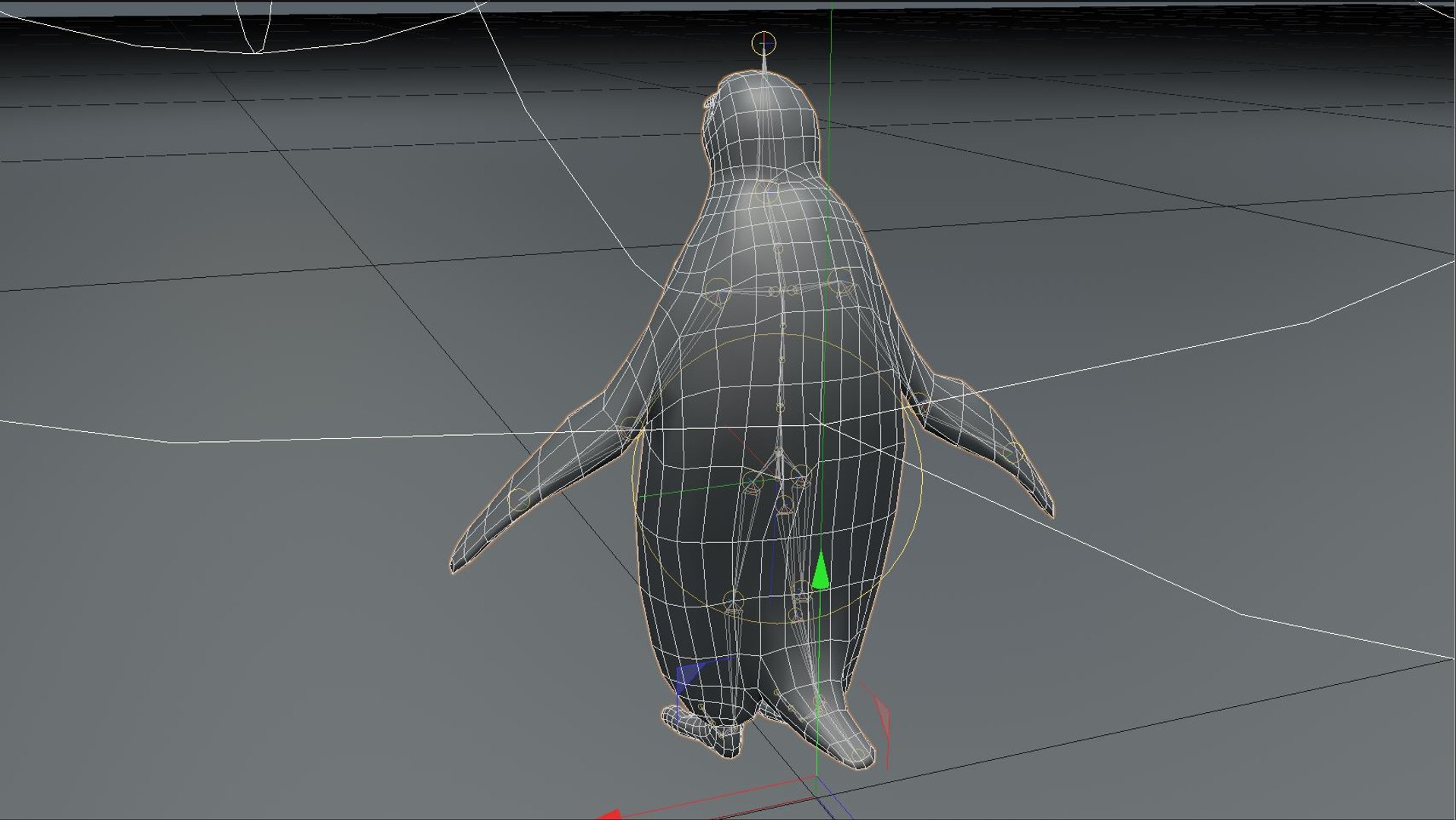 Penguin 3D Model - TurboSquid 1522173