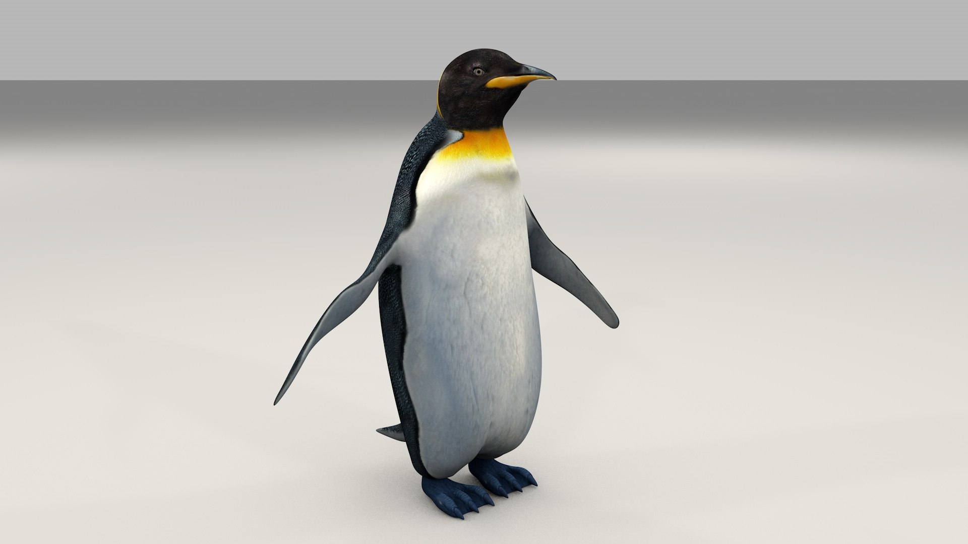 Penguin 3D Model - TurboSquid 1522173