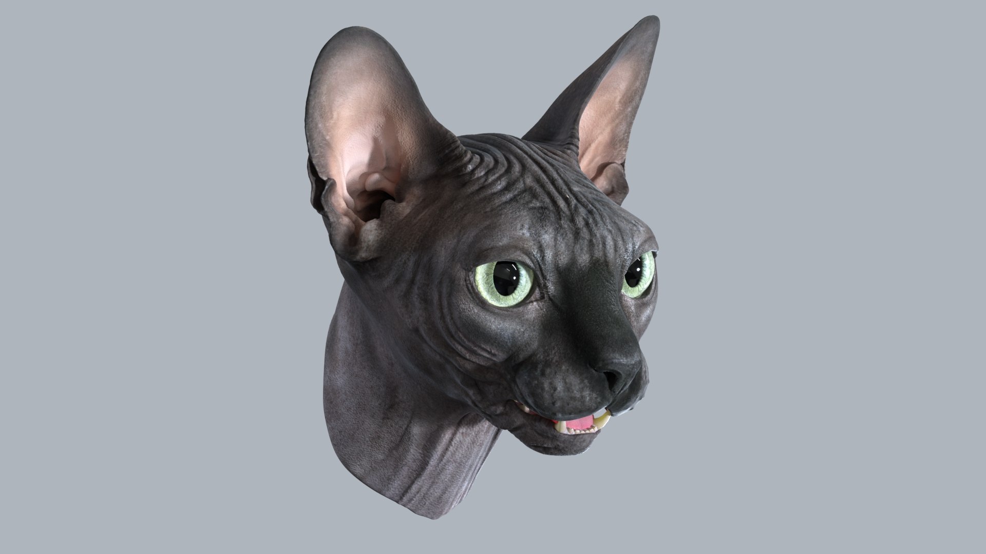 Sphynx Head Model - TurboSquid 1754496