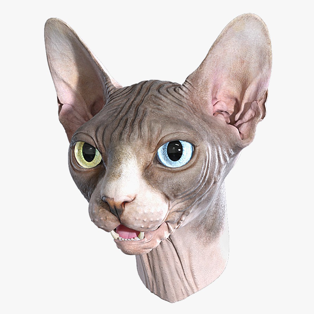 Sphynx Head model - TurboSquid 1754496