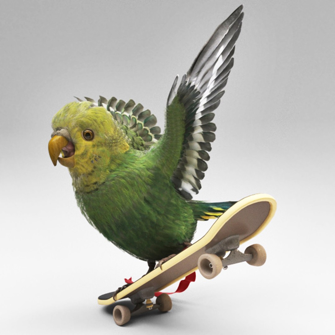 3D Parrot1 - TurboSquid 2155549