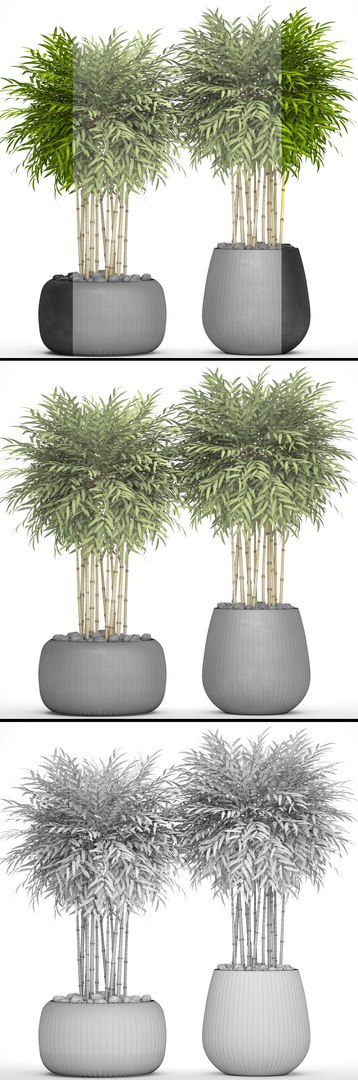 Bamboo Trees Model - TurboSquid 1153227