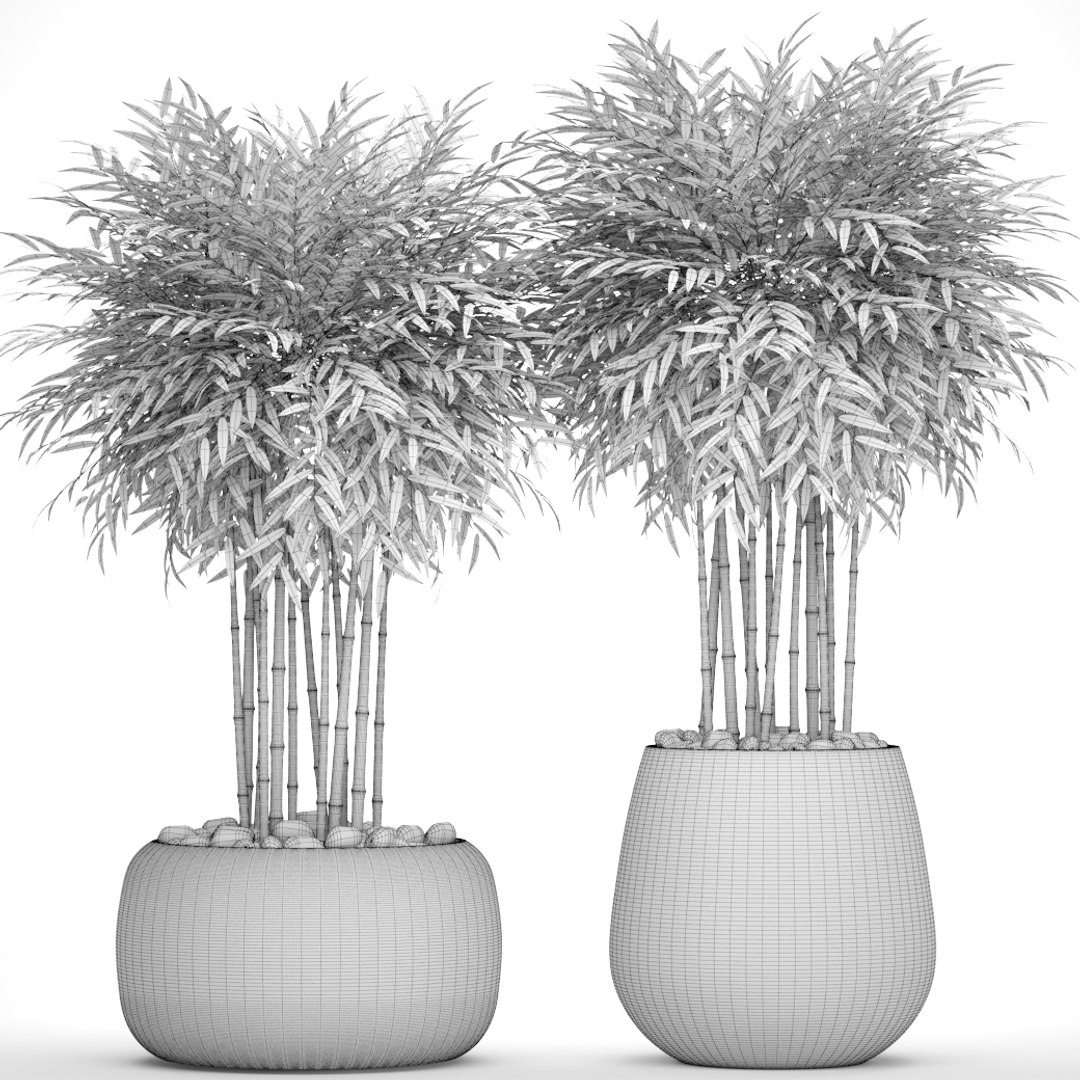 Bamboo Trees Model - TurboSquid 1153227