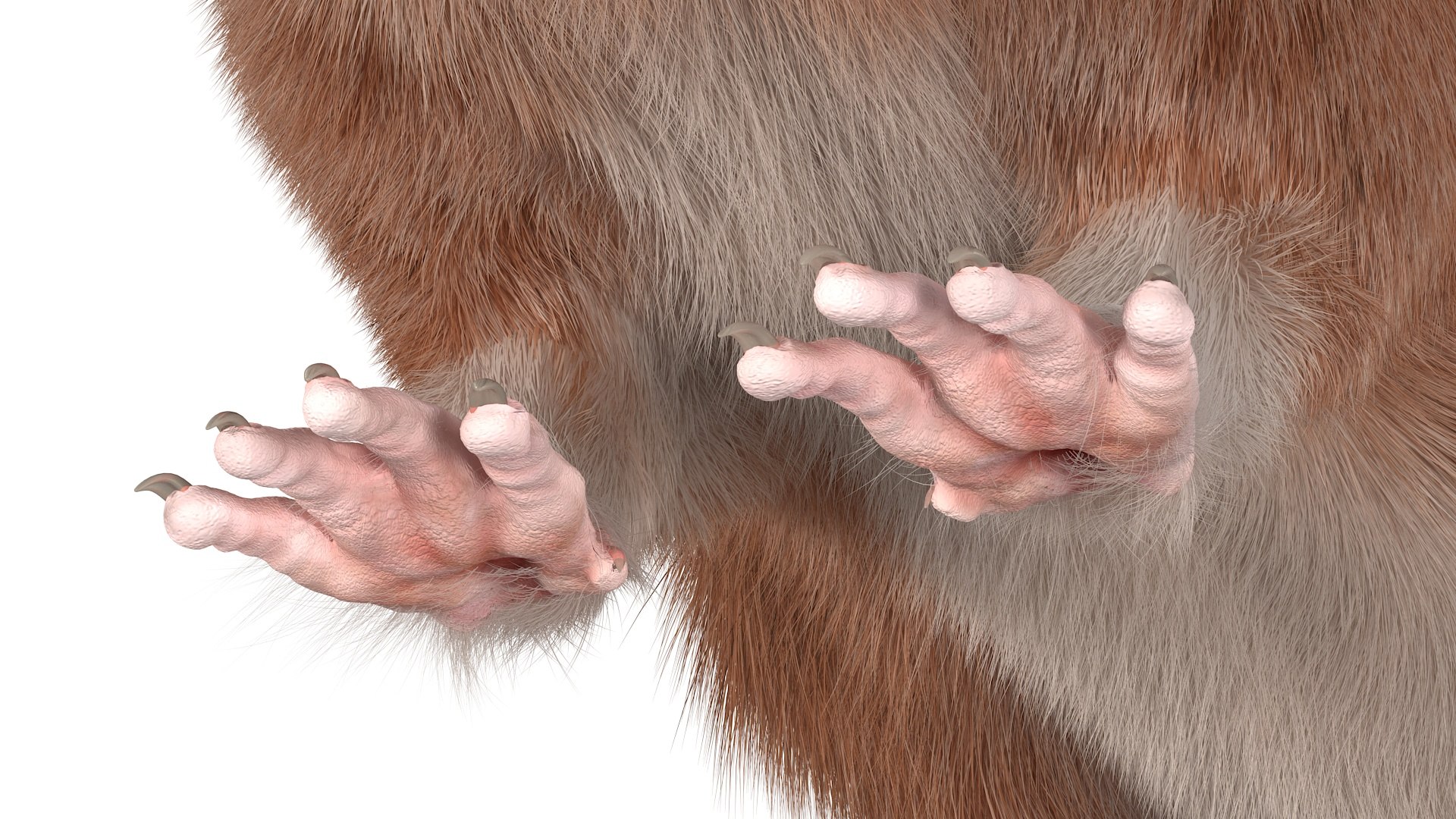 Common Rat Rigged Fur 3D Model - TurboSquid 2287585