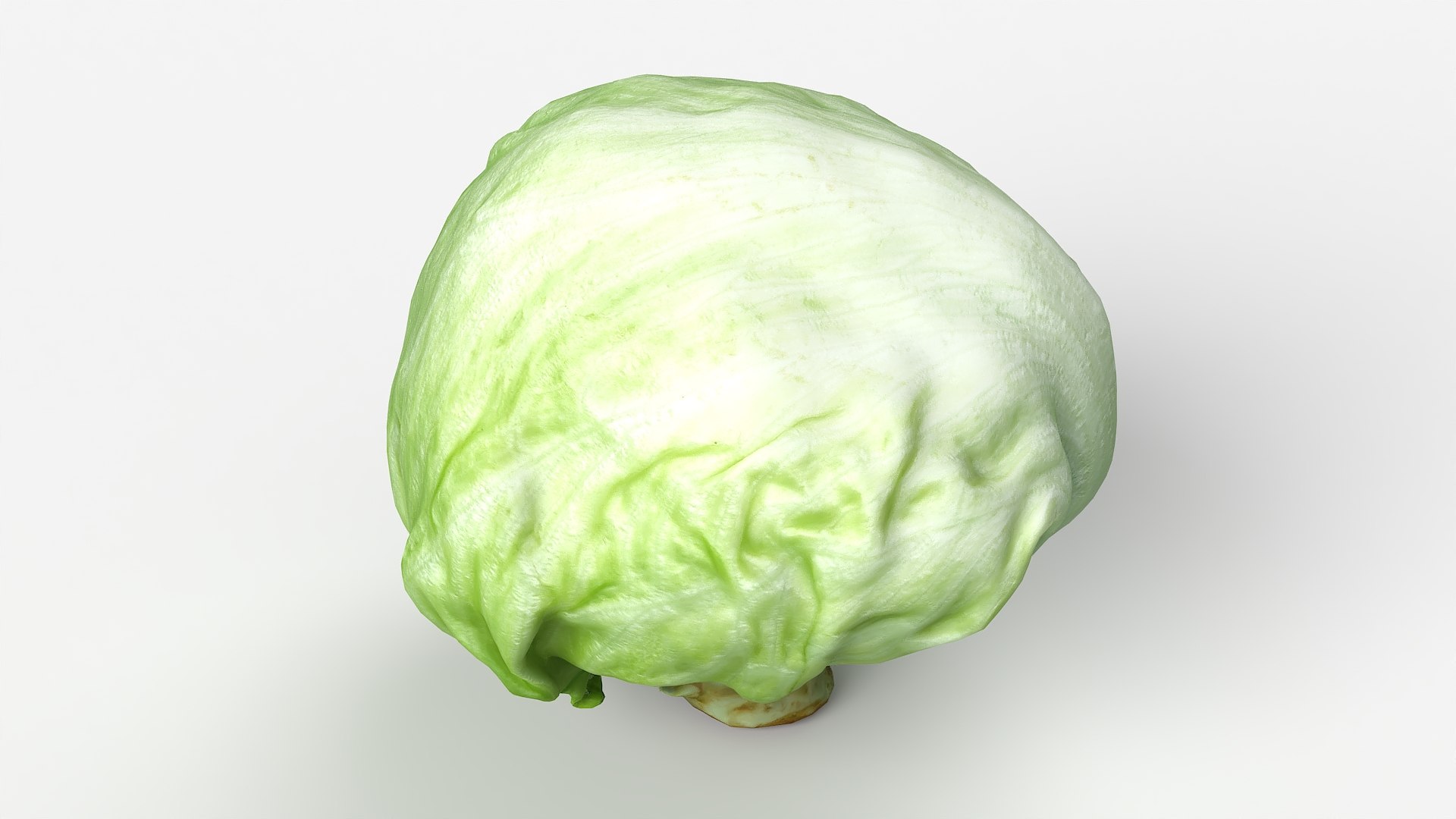 3D model Salad Head 11 - TurboSquid 2056761