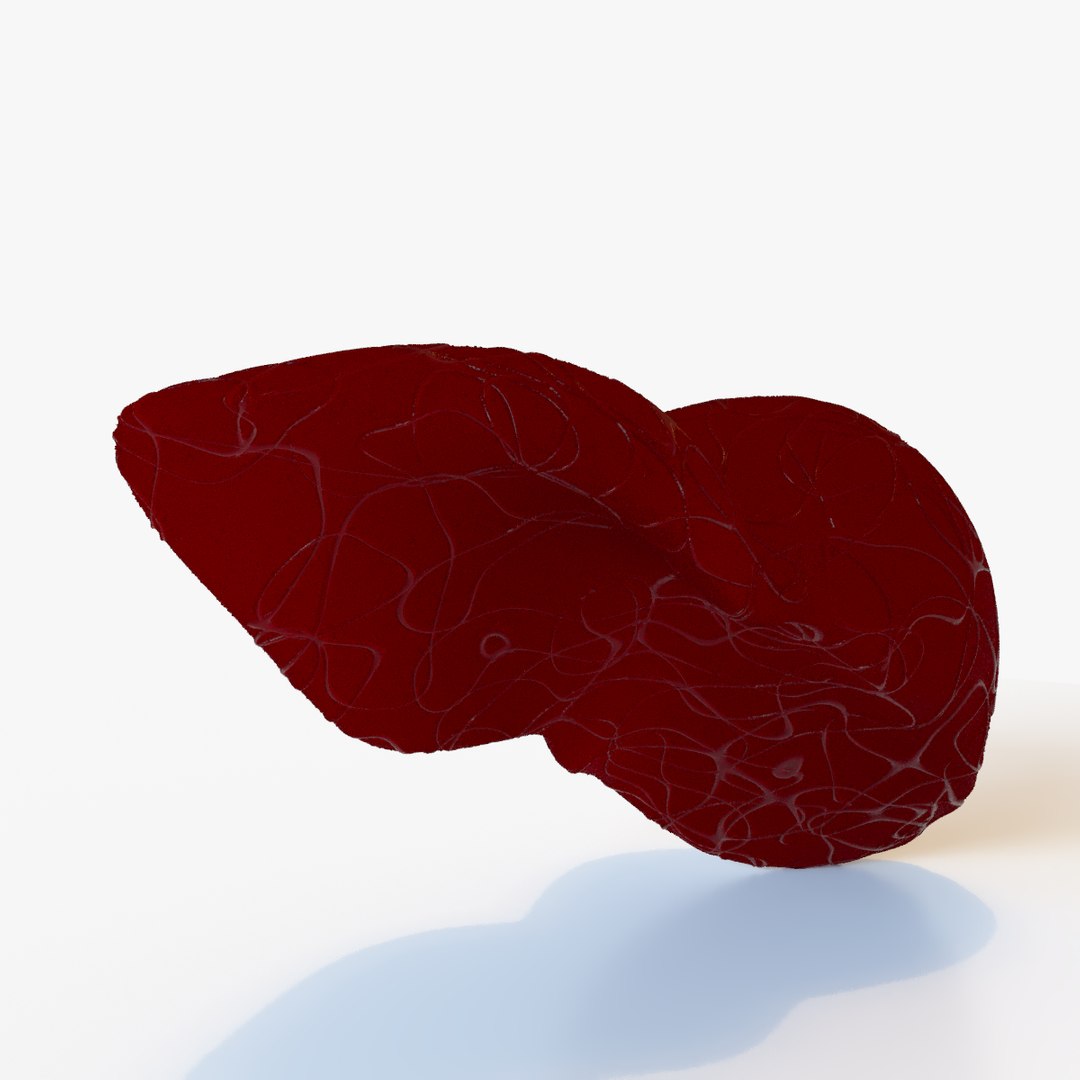 3D Render Human Liver - TurboSquid 1366442
