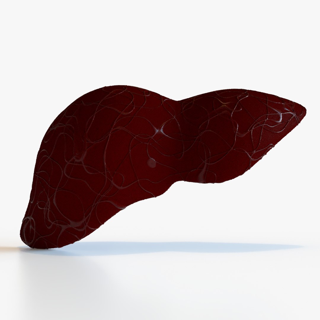 3D Render Human Liver - TurboSquid 1366442