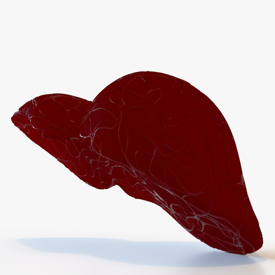 3D Render Human Liver - TurboSquid 1366442