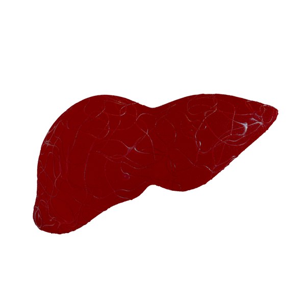 Animated Liver 3D Models for Download | TurboSquid