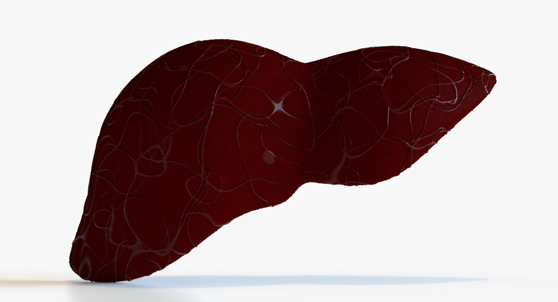 3D Render Human Liver - TurboSquid 1366442