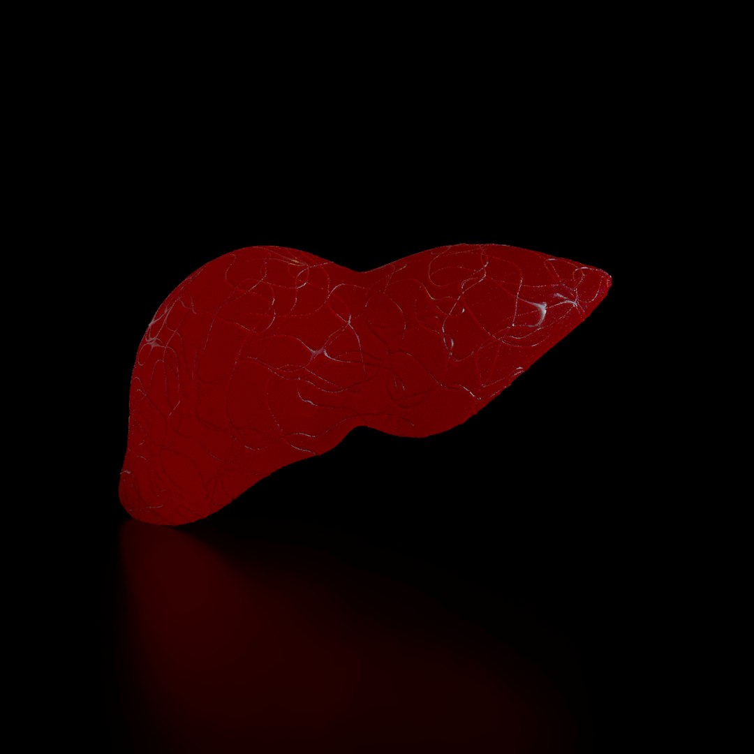 3D Render Human Liver - TurboSquid 1366442