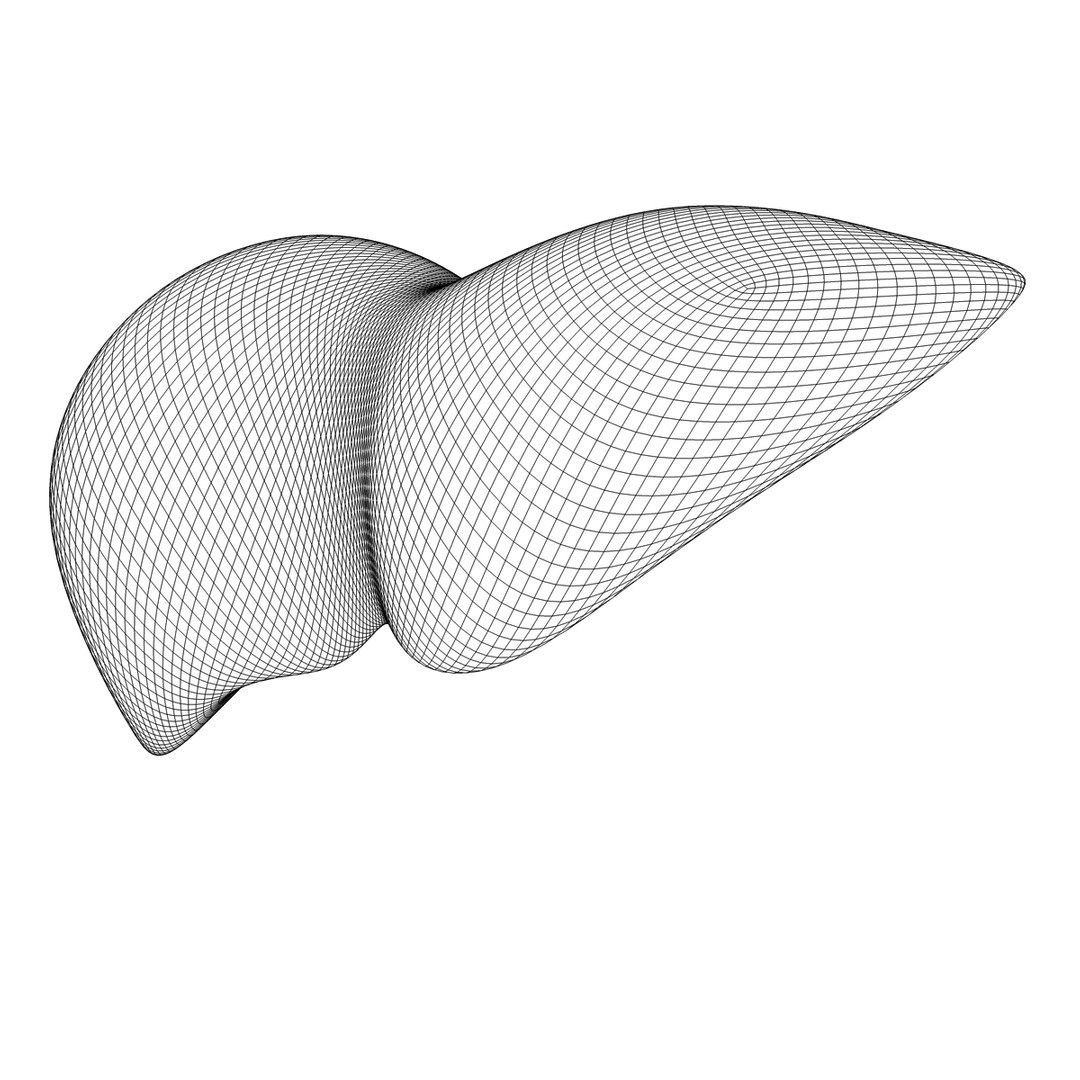 3D Render Human Liver - TurboSquid 1366442