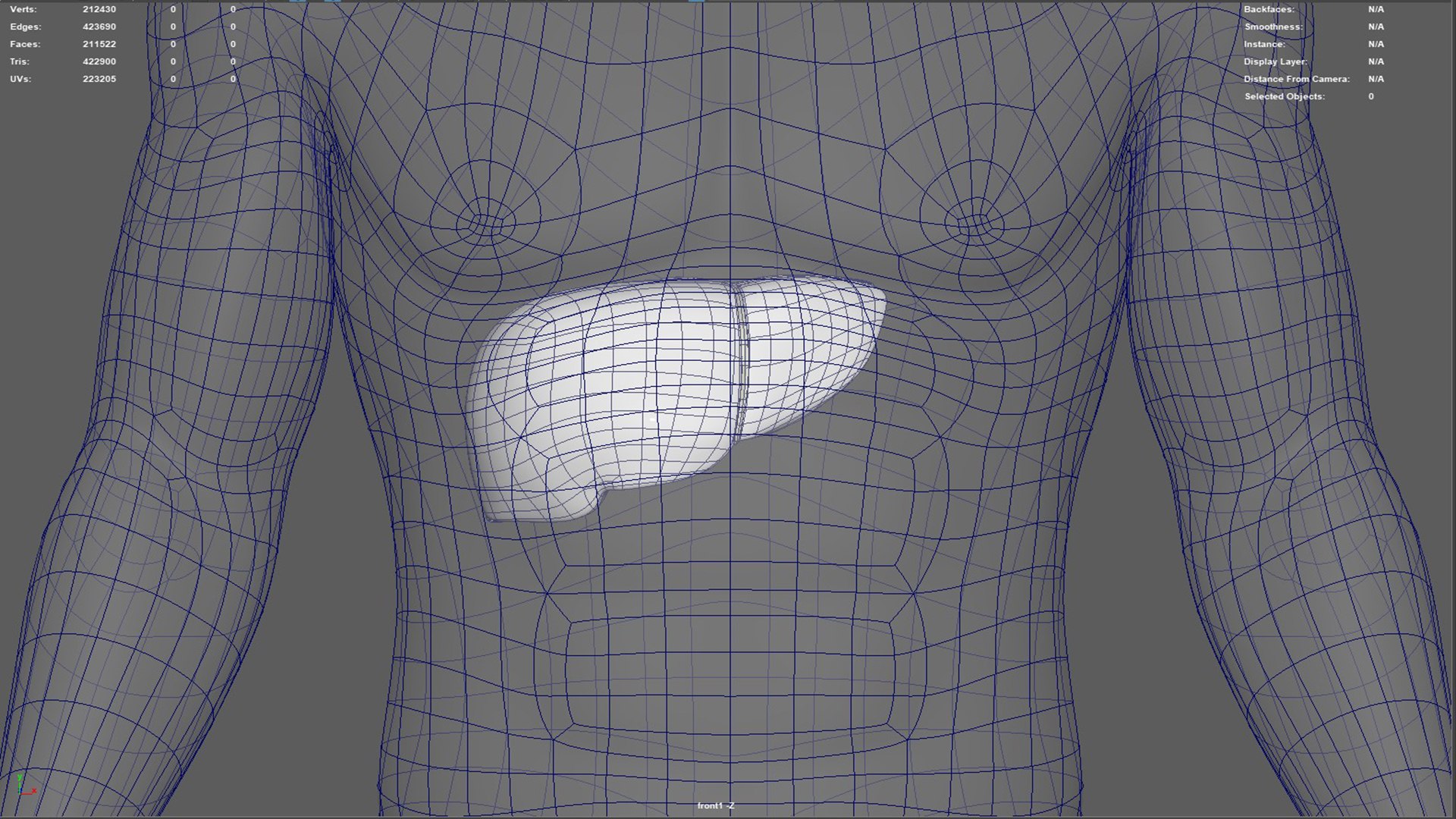 Human Natural Body With Liver 3D Model - TurboSquid 1936685