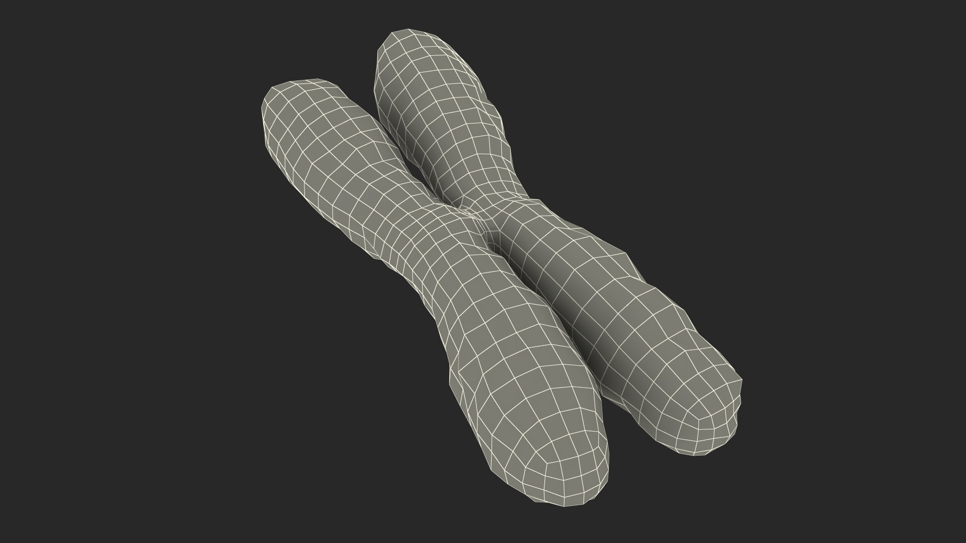 Human X Chromosome 3D Model - TurboSquid 2061418