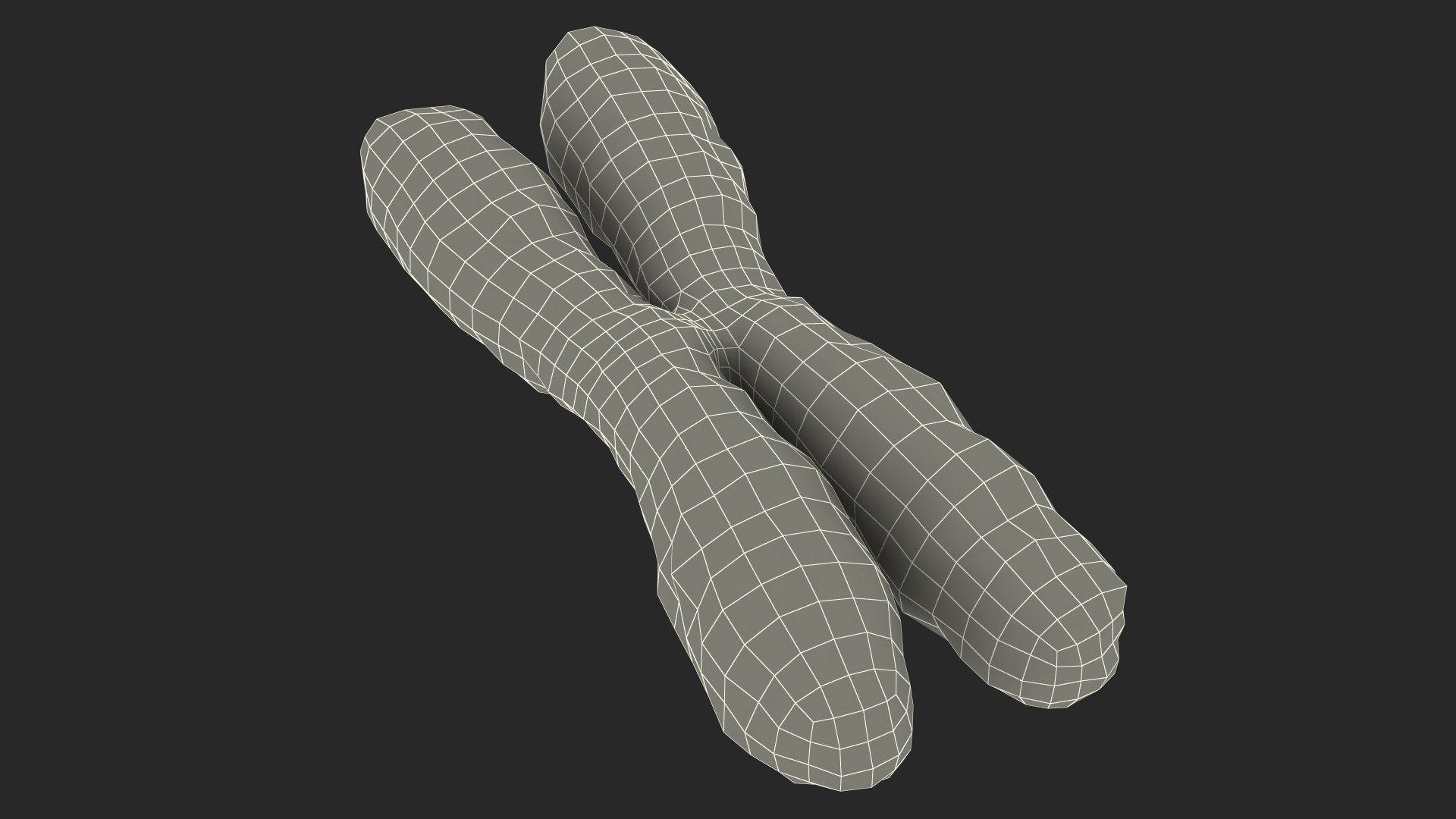 Human X Chromosome 3D Model - TurboSquid 2061418
