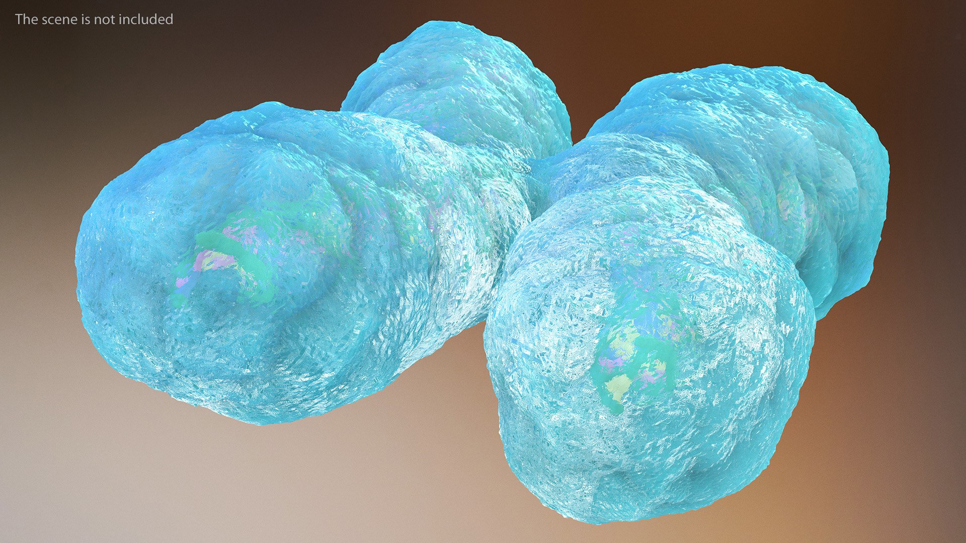 Human X Chromosome 3D Model - TurboSquid 2061418