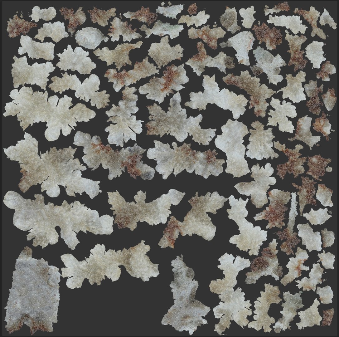 Coral sea model - TurboSquid 1975063