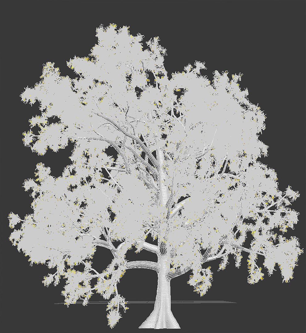 Animated Cartoon Surreal Trees Pack 9 3D model - TurboSquid 2175022