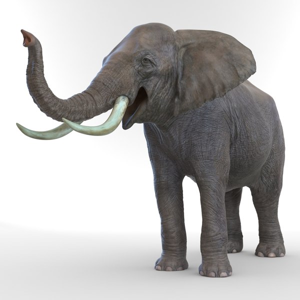 elephant rigged 3d model