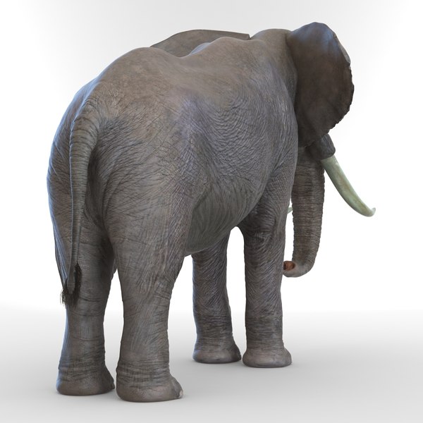 elephant rigged 3d model