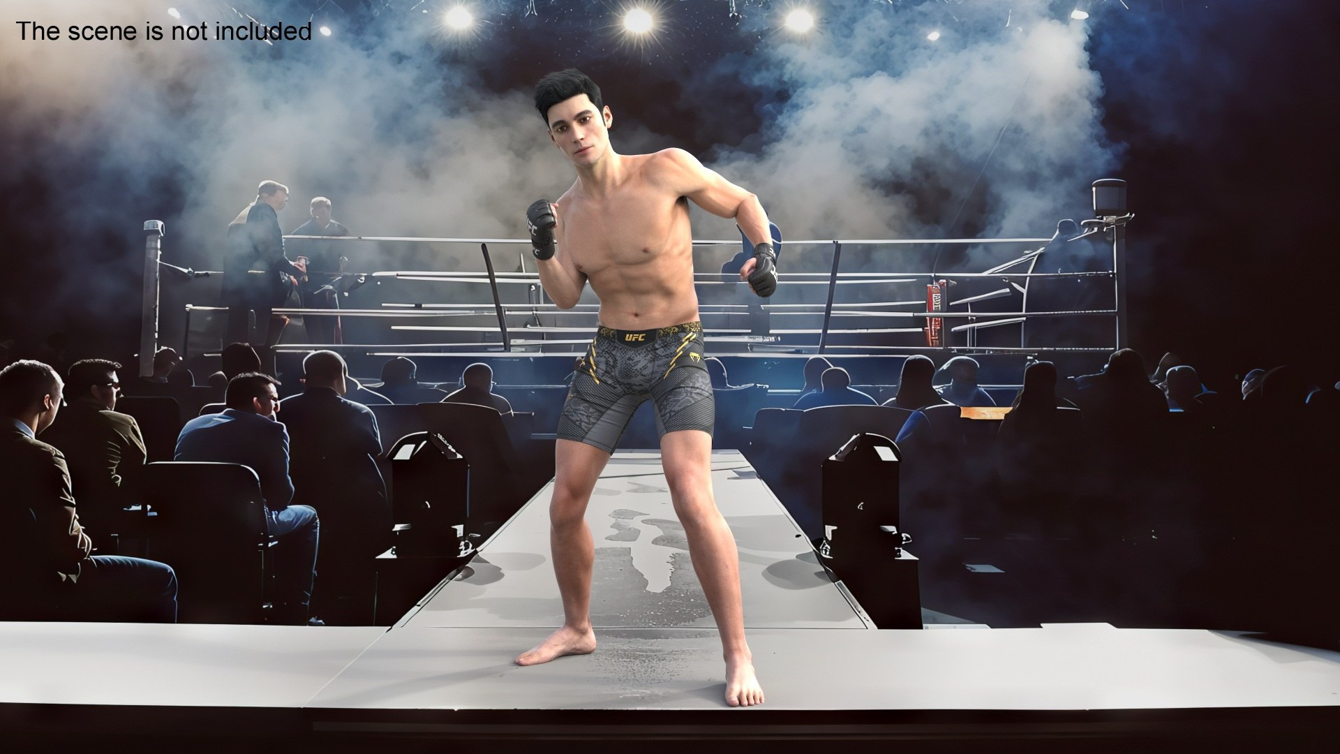 3D UFC MMA Fighter Falling Animated Fur Rigged - TurboSquid 2383197