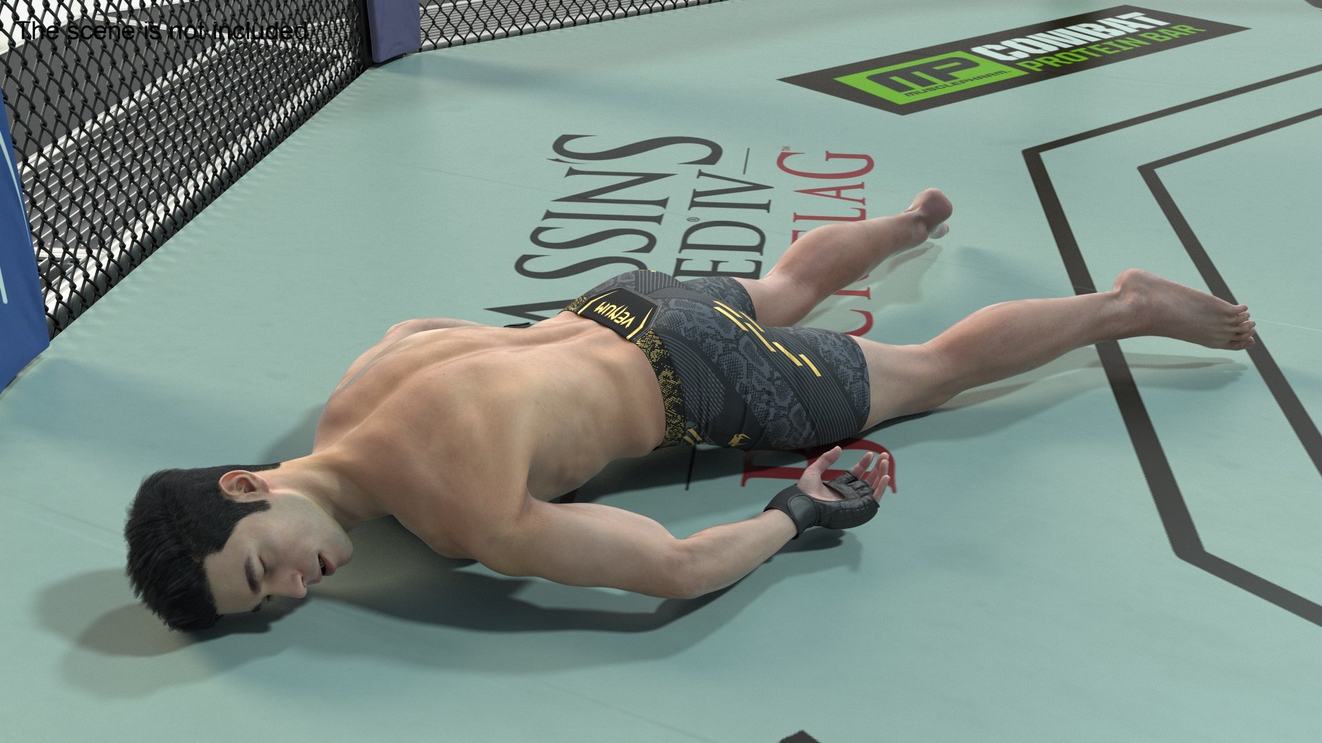 3D UFC MMA Fighter Falling Animated Fur Rigged - TurboSquid 2383197