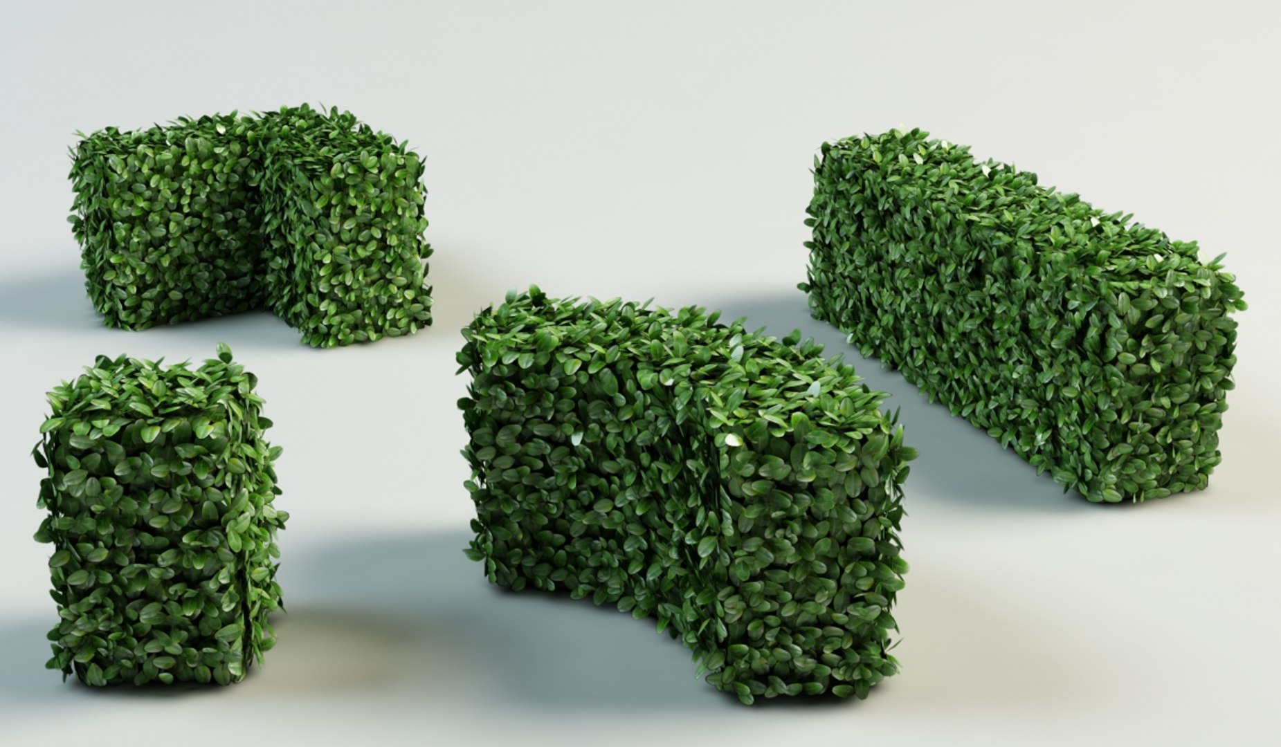 3d model hedge bushes