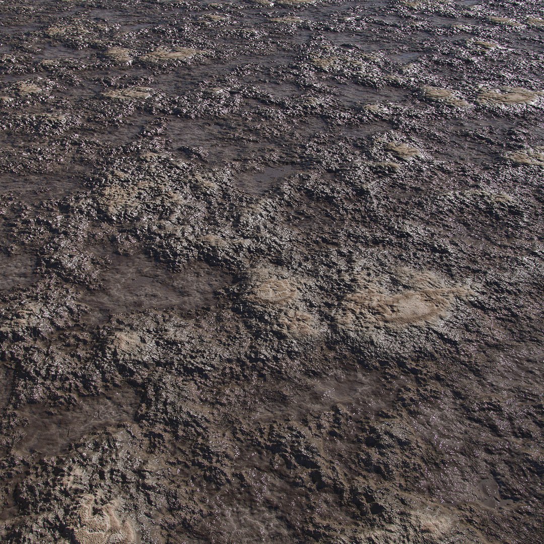 3D Model Mud - TurboSquid 1517963