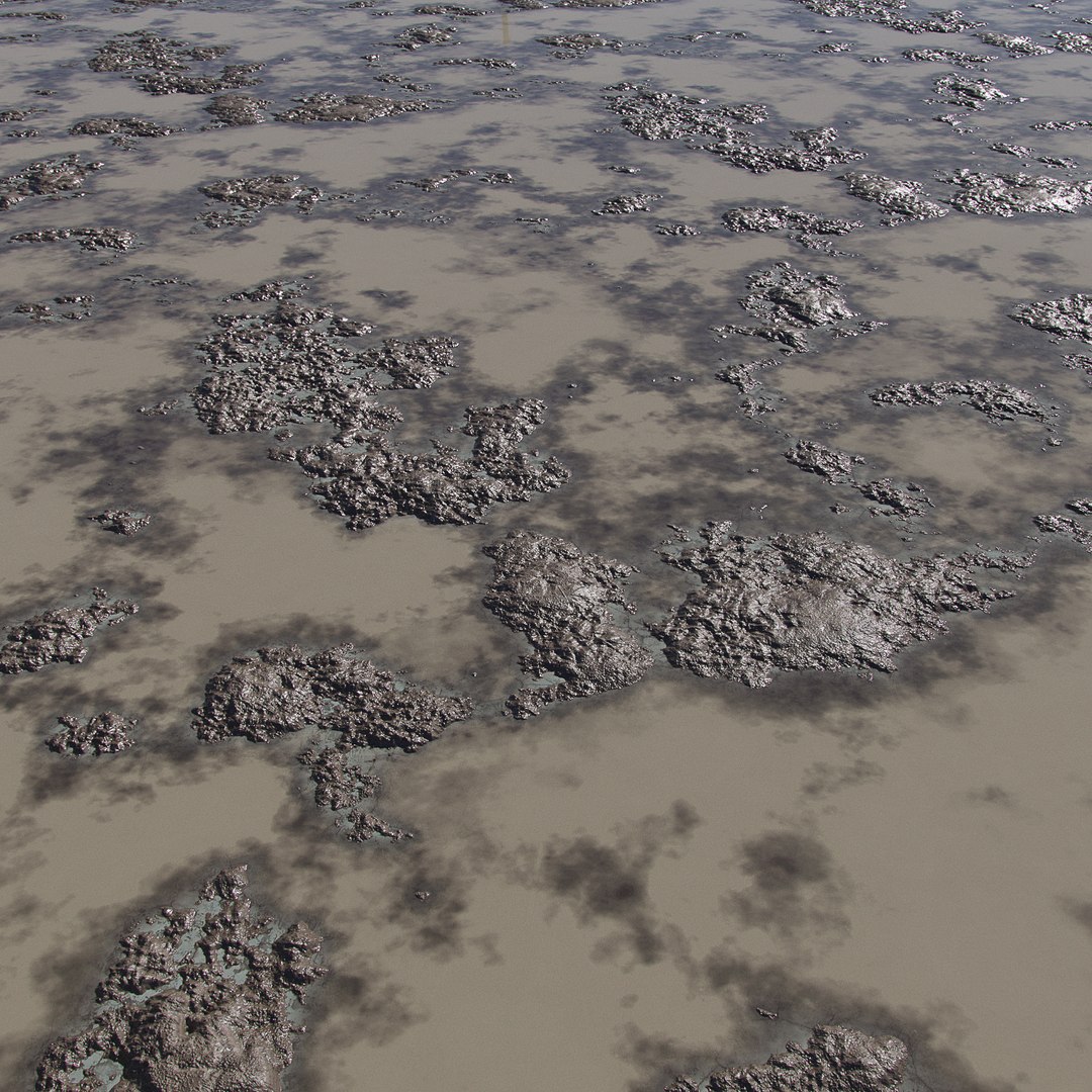 3D Model Mud - TurboSquid 1517963