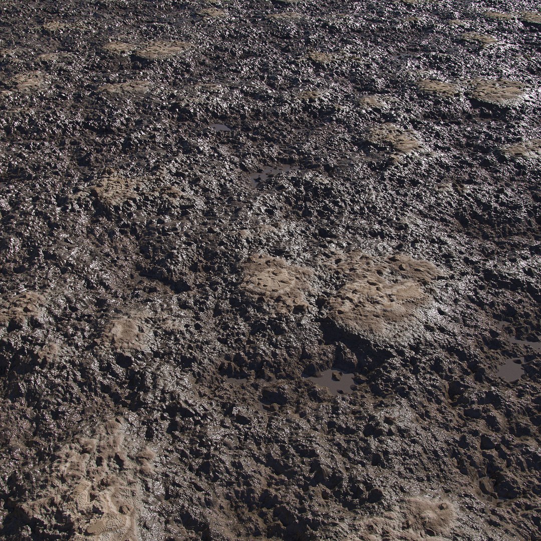 3D Model Mud - TurboSquid 1517963