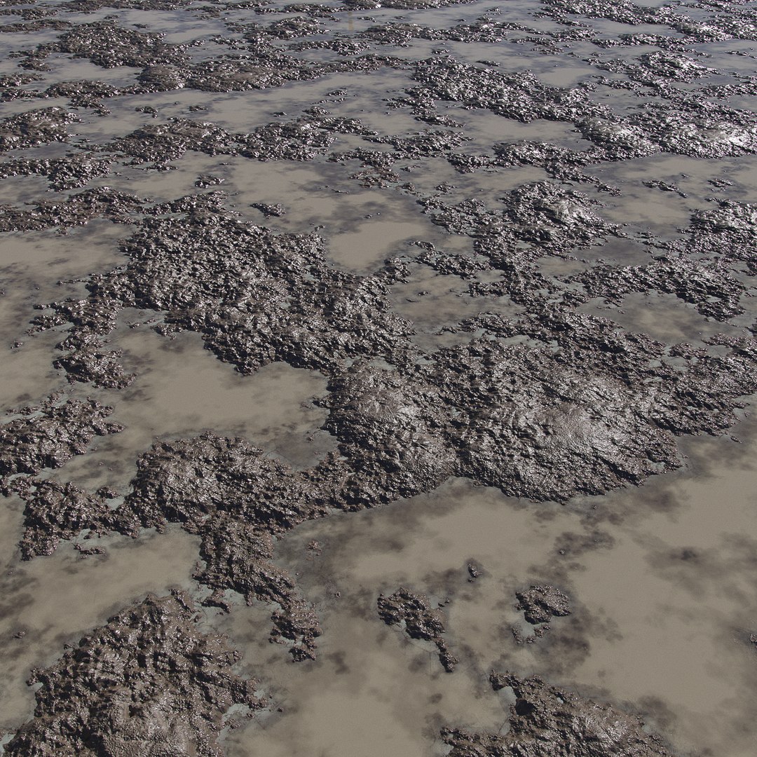 3D Model Mud - TurboSquid 1517963
