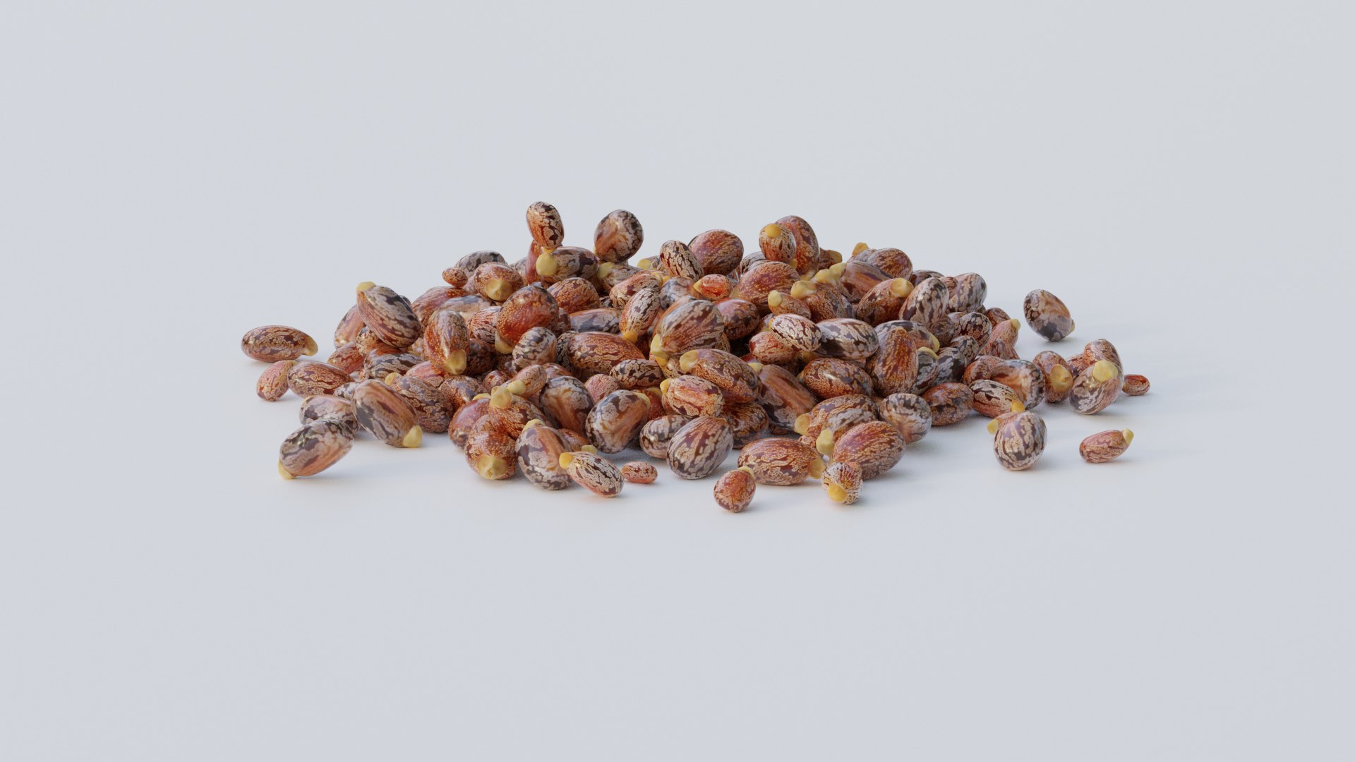 3D Caster Seeds Model - TurboSquid 2221639