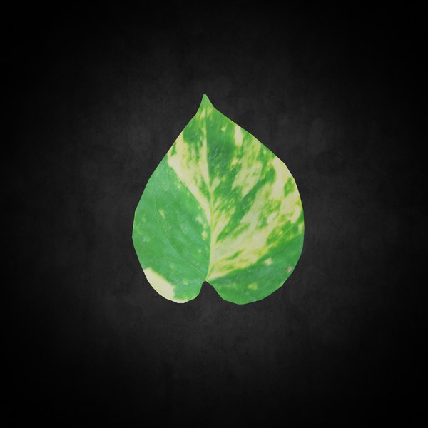 3D Low Poly Leaf 065 - TurboSquid 1852448