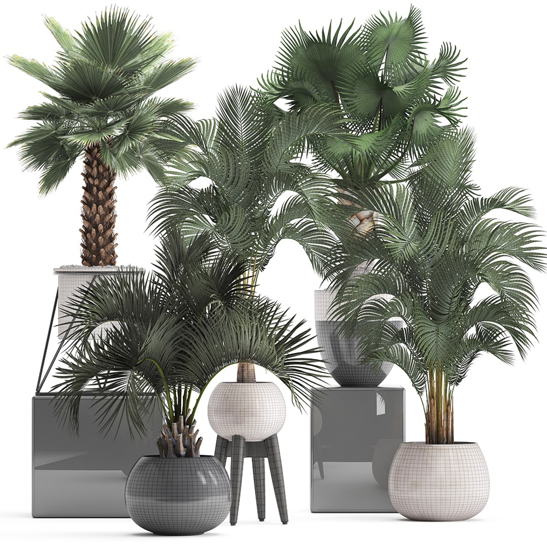 Decorative Palm Trees Model - TurboSquid 1376234