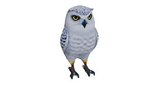 Screech Owl 3D Models for Download | TurboSquid