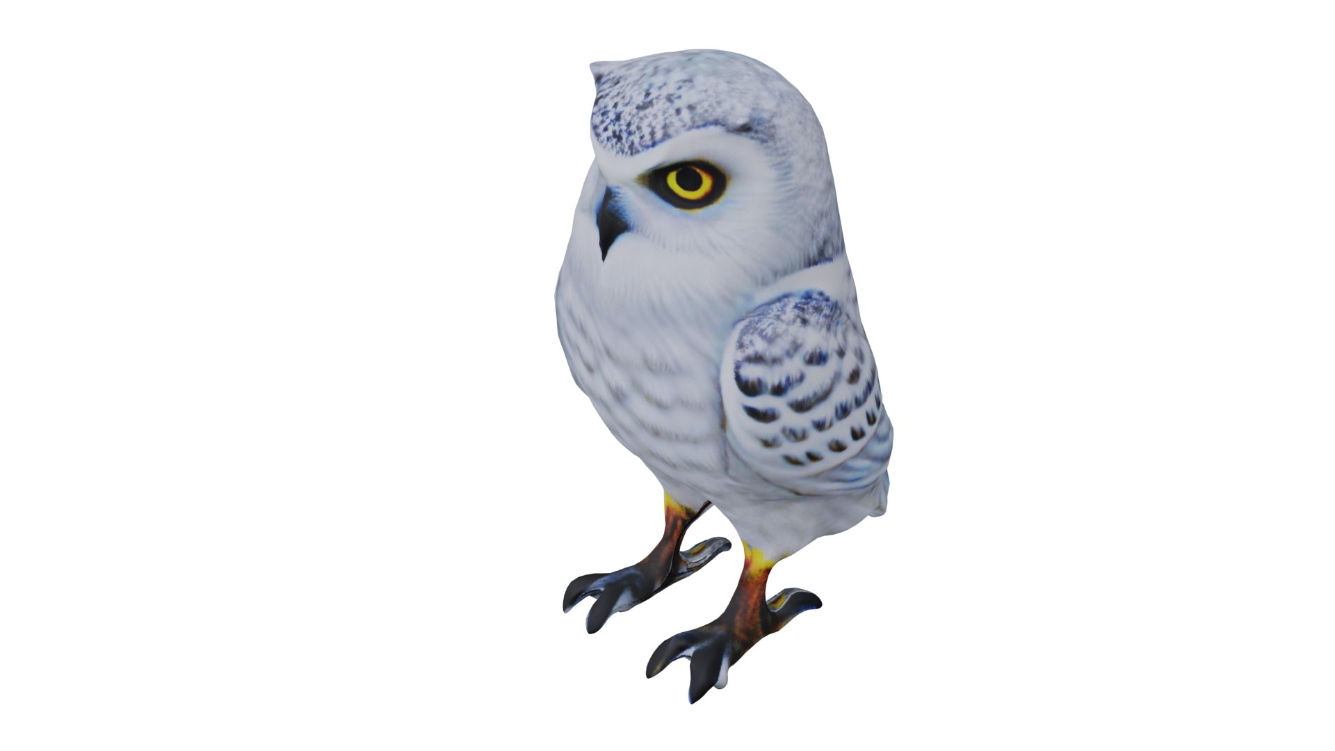 Snowy Owl Low Poly 3D Model - TurboSquid 2205886