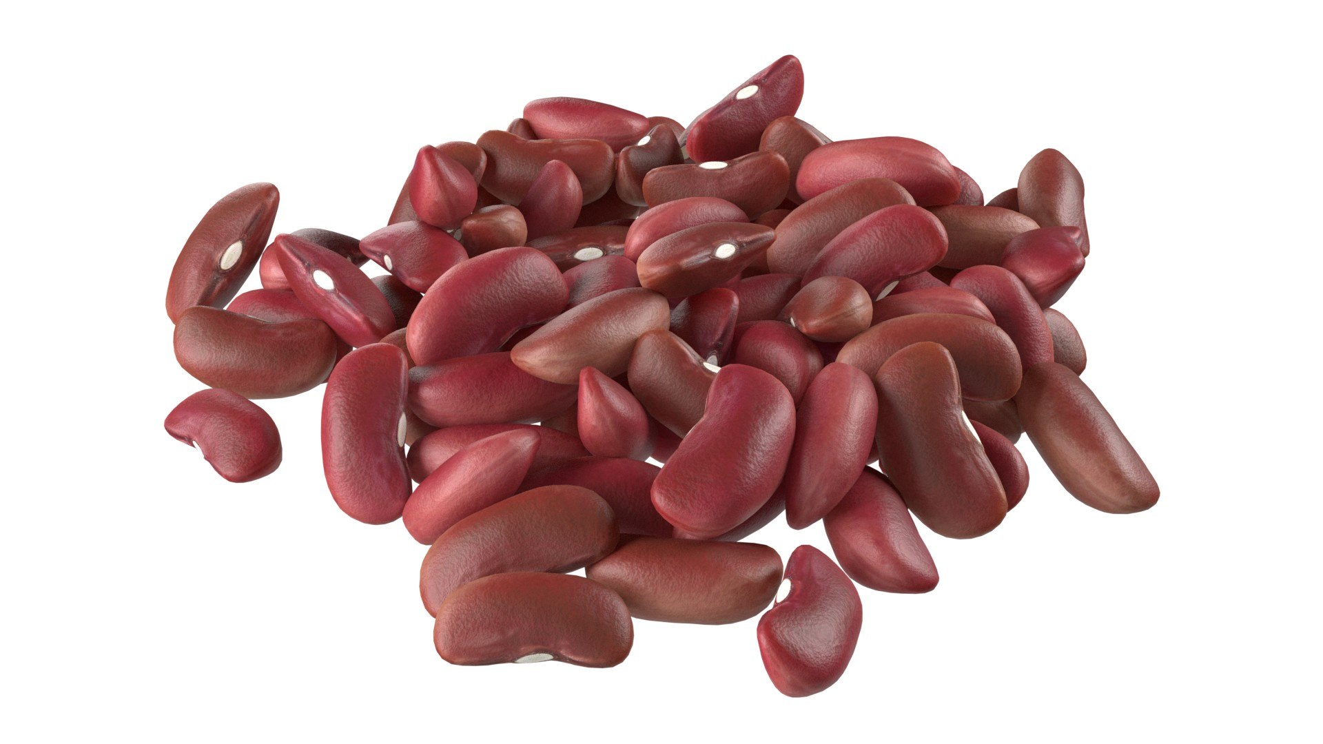 Kidney Bean Collection 3D Model - TurboSquid 2407976