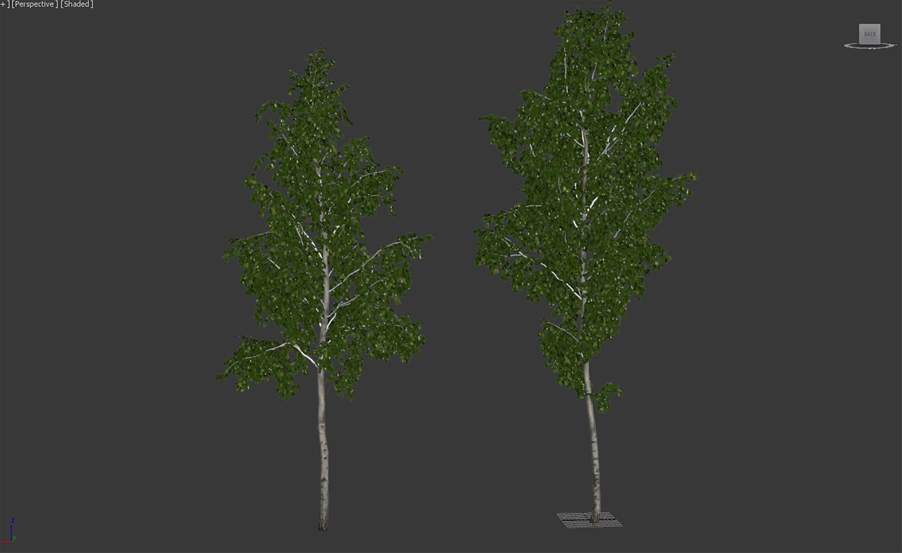 Tree Nature 3D Model - TurboSquid 1688738