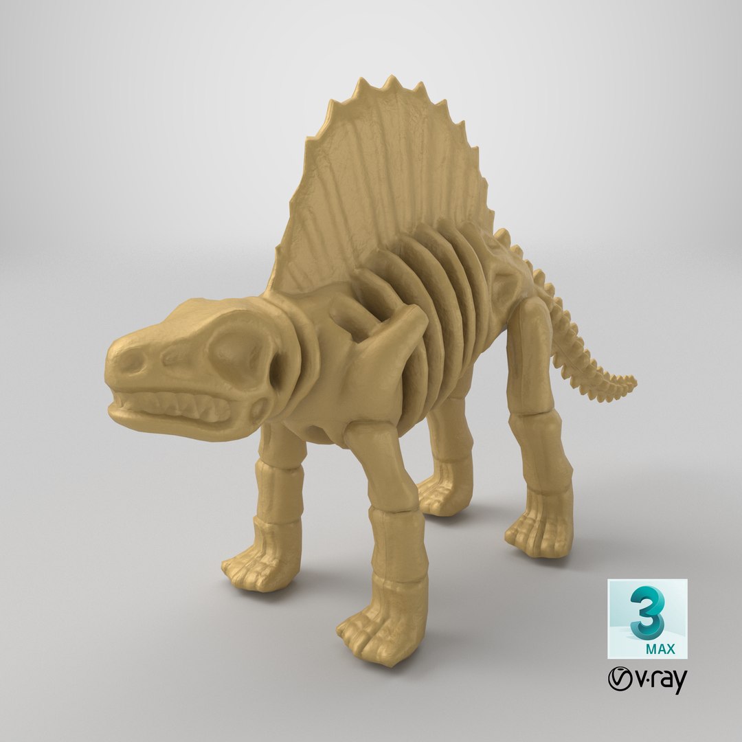 Dimetrodon Dinosaur Skeleton Toy 3D Model - TurboSquid 2177364