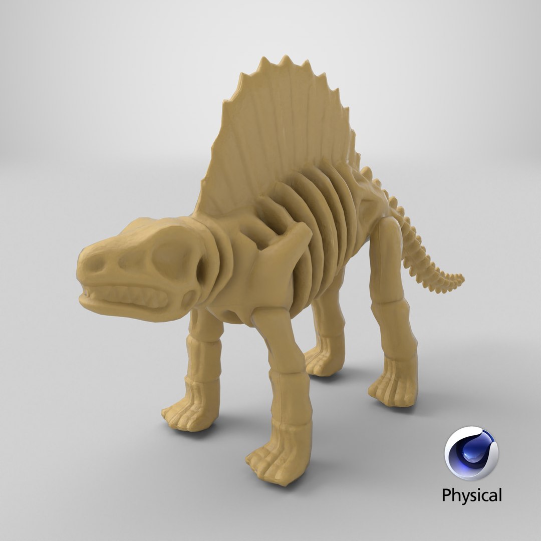 Dimetrodon Dinosaur Skeleton Toy 3D Model - TurboSquid 2177364