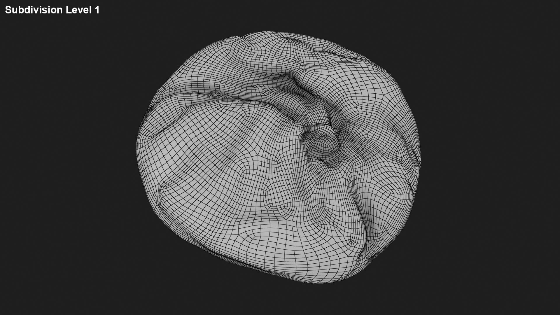 Dry Fig 3D model - TurboSquid 2008244