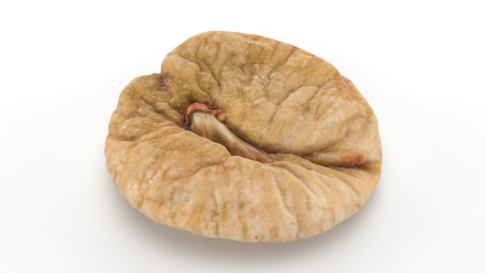 Dry Fig 3D Model - TurboSquid 2008244