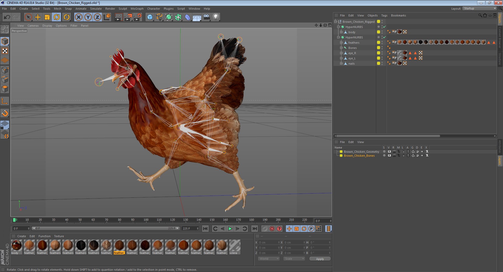 Brown chicken rigged 3D model - TurboSquid 1153594