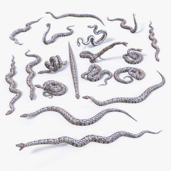 Southern African Rock Python 3D Mesh 3D model - TurboSquid 1880493