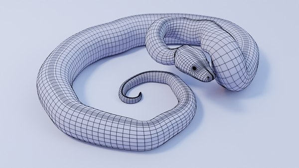 Southern African Rock Python 3D Mesh 3D model - TurboSquid 1880493